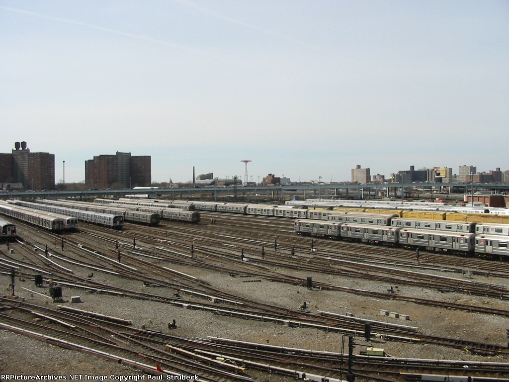 Coney Island Yard